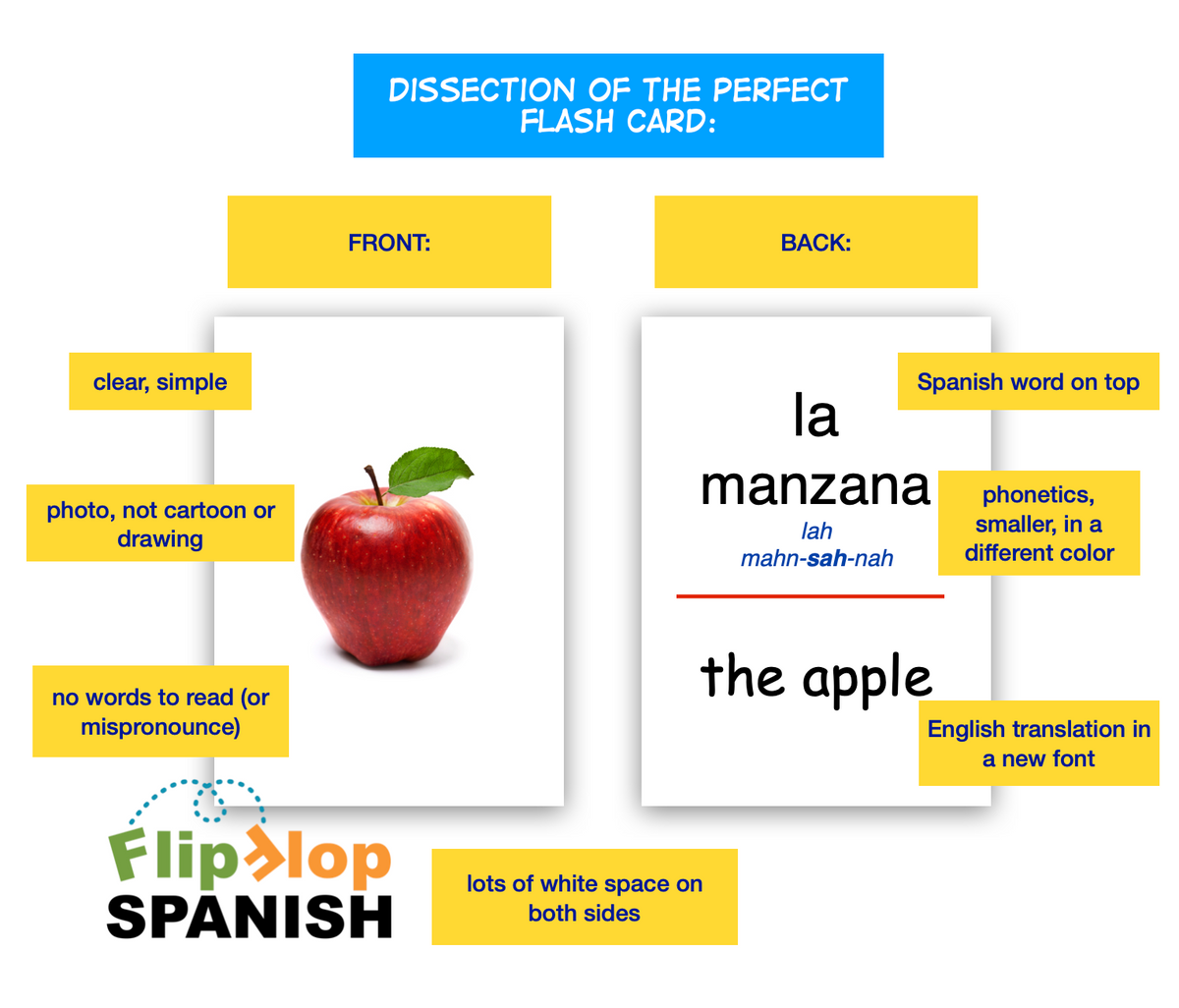 Dissecting the Perfect Foreign Language/ Spanish Flash Card – Flip Flop ...