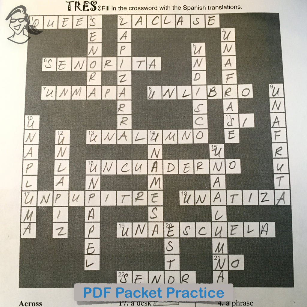 Spanish Geniuses: High School Spanish for Homeschool: Level 1 – Flip Flop Spanish & Spanish Geniuses